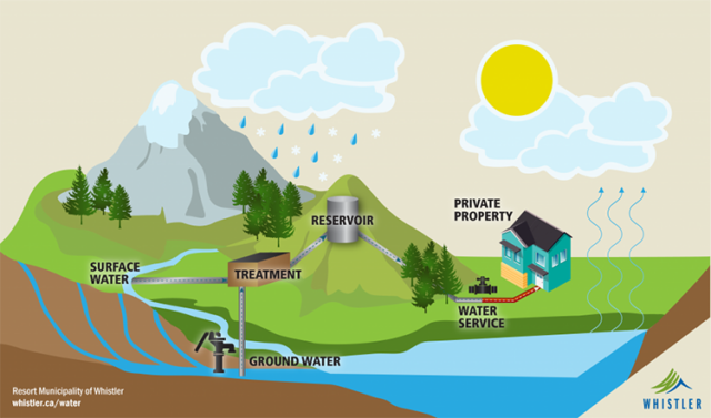 The Journey of Tap Water: From Source to Tap